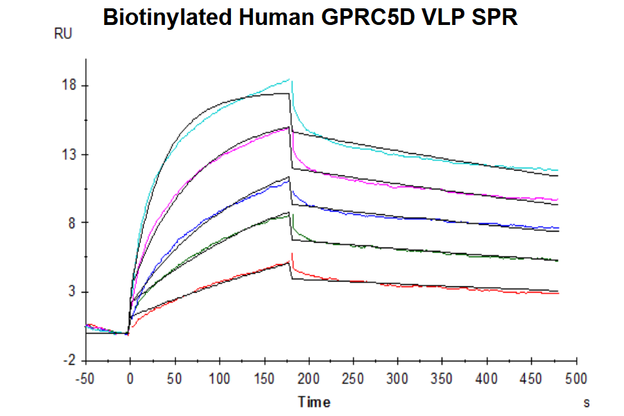恺佧生物科技（上海）有限公司 - ImmunoProVLP超级抗原蛋白